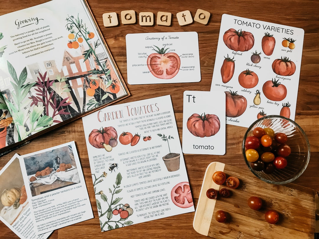 Garden Tomato Nature Study - Etsy