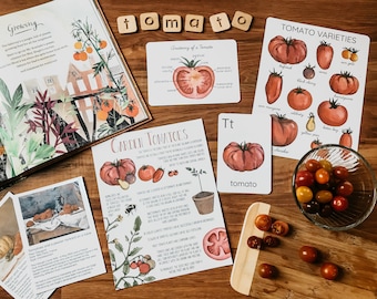 TOMATO Unit Study Life Cycle Anatomy Nature Study Science - Etsy