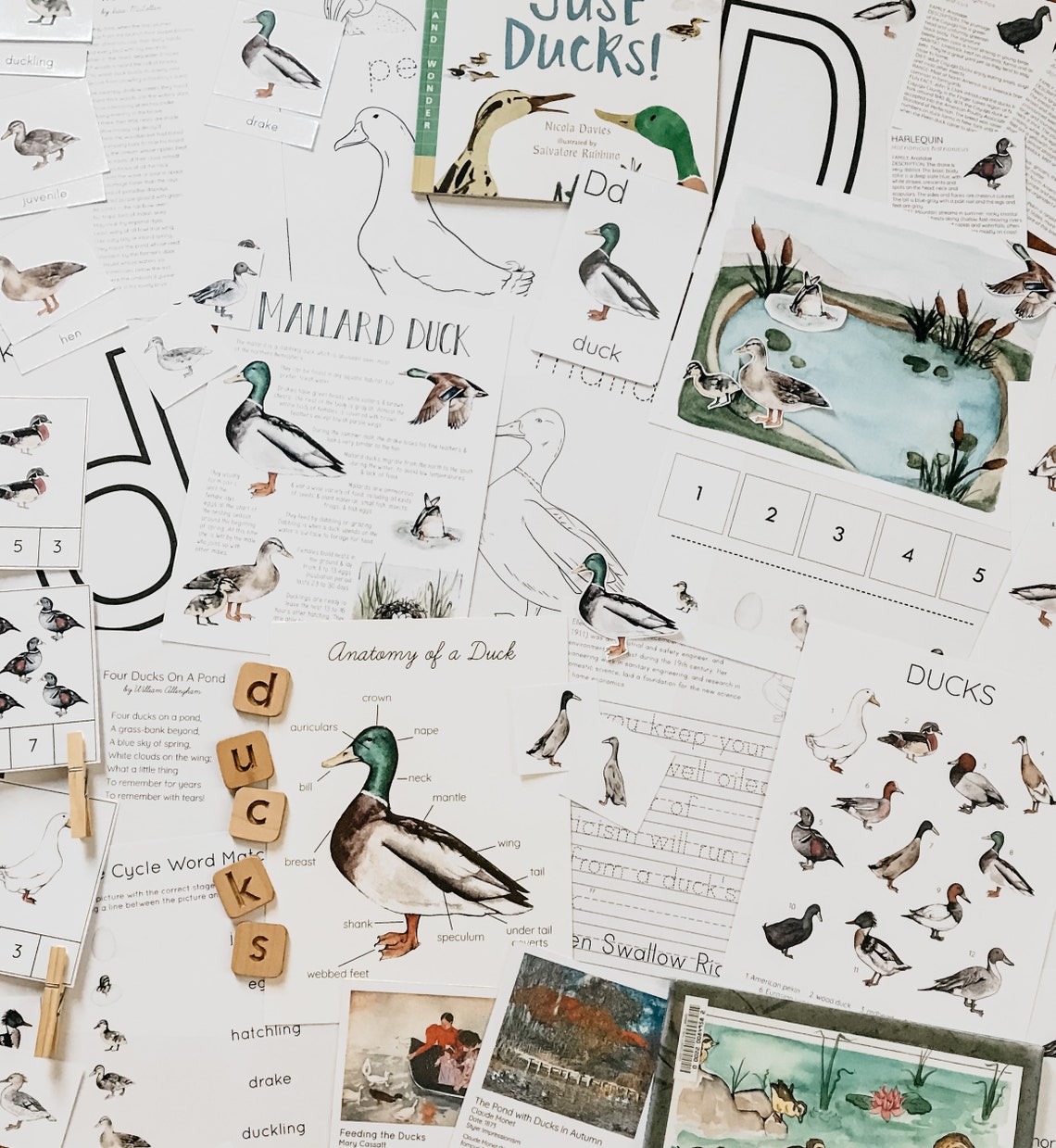 Duck Unit Study Guide | Etsy