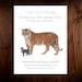 Cat Unit Study - Etsy