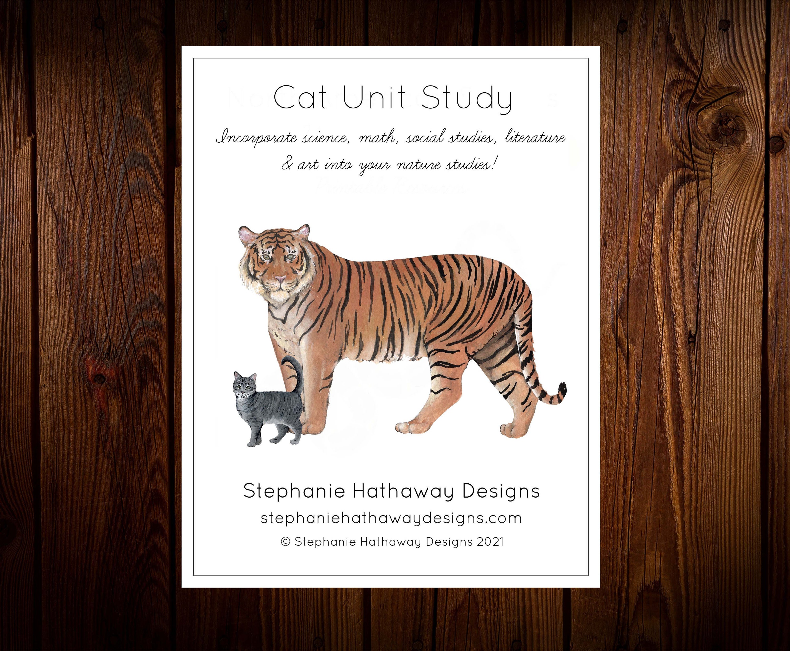 Cat Unit Study | Etsy