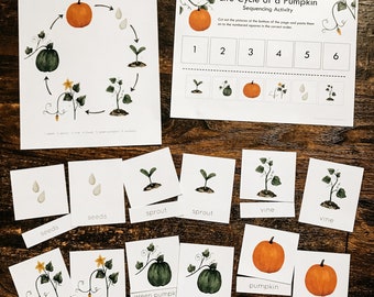 Life Cycle of a Pumpkin Montessori 3-part Cards & Poster - Etsy Canada