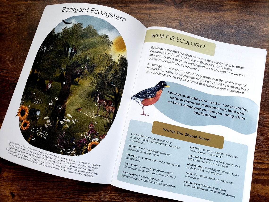 Backyard Ecology: A Printed Educational Guide Filled With Information ...