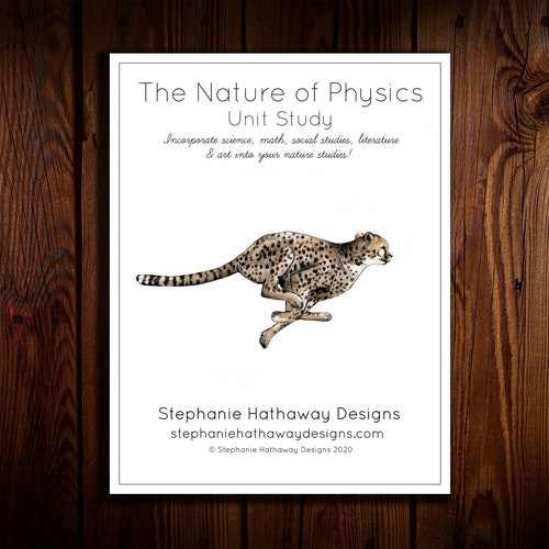 Unit Study Cheetah Anatomy & Fun Facts Science and Nature Unit - Etsy