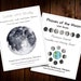Moon Phases and Lunar Unit Study BUNDLE | Etsy