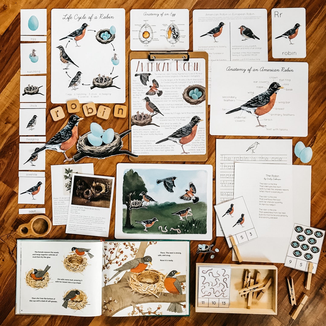 Robin Unit Study - Etsy