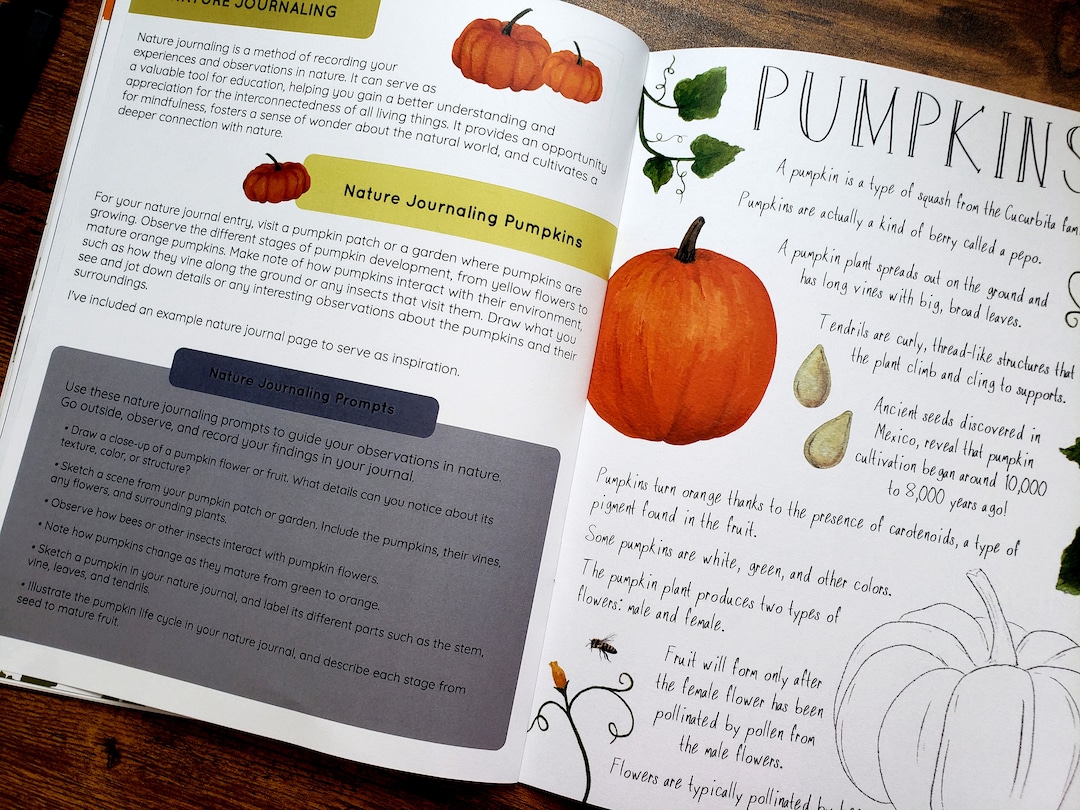 Pumpkins: A Printed Educational Guide Filled With Information ...