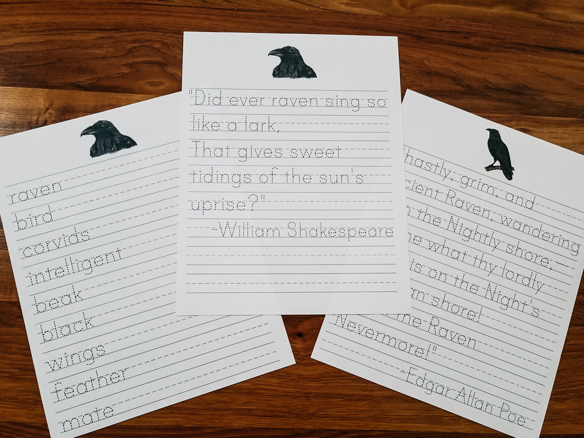 Raven Mini Unit Study - Etsy Canada