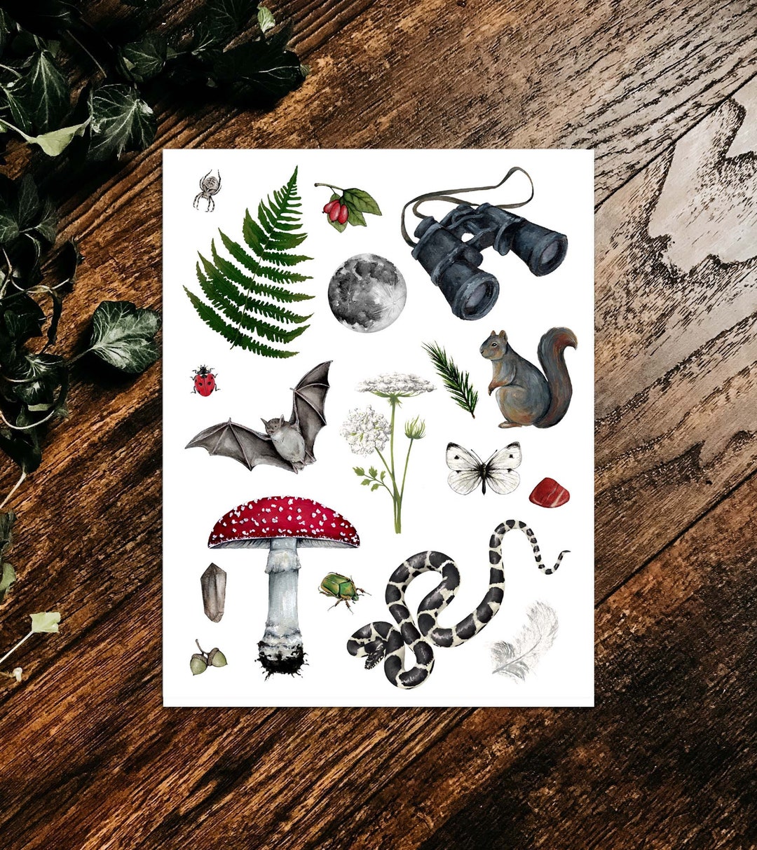 Nature Finds and Curiosities Art Print - Etsy