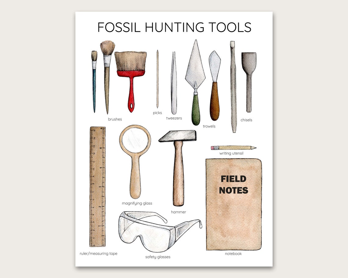 Fossil Hunting Tools Art Print - Etsy
