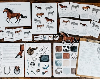 Horse Unit Study, Horse 3 Part Cards, Horse Activities, Horse Homeschool, Horse Anatomy, Horse ...