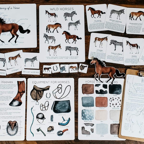 Horse Art - Etsy