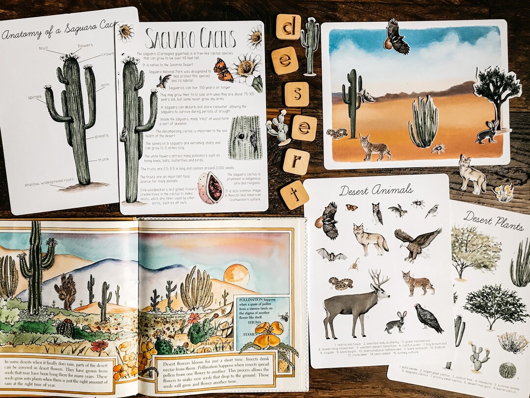 Desert Unit Study - Etsy