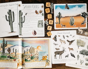 Desert Unit Study, Camel Unit Study, Desert Activities, Biome Unit ...