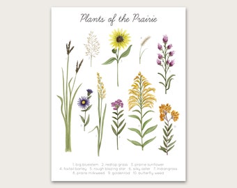 Prairie Print | Etsy