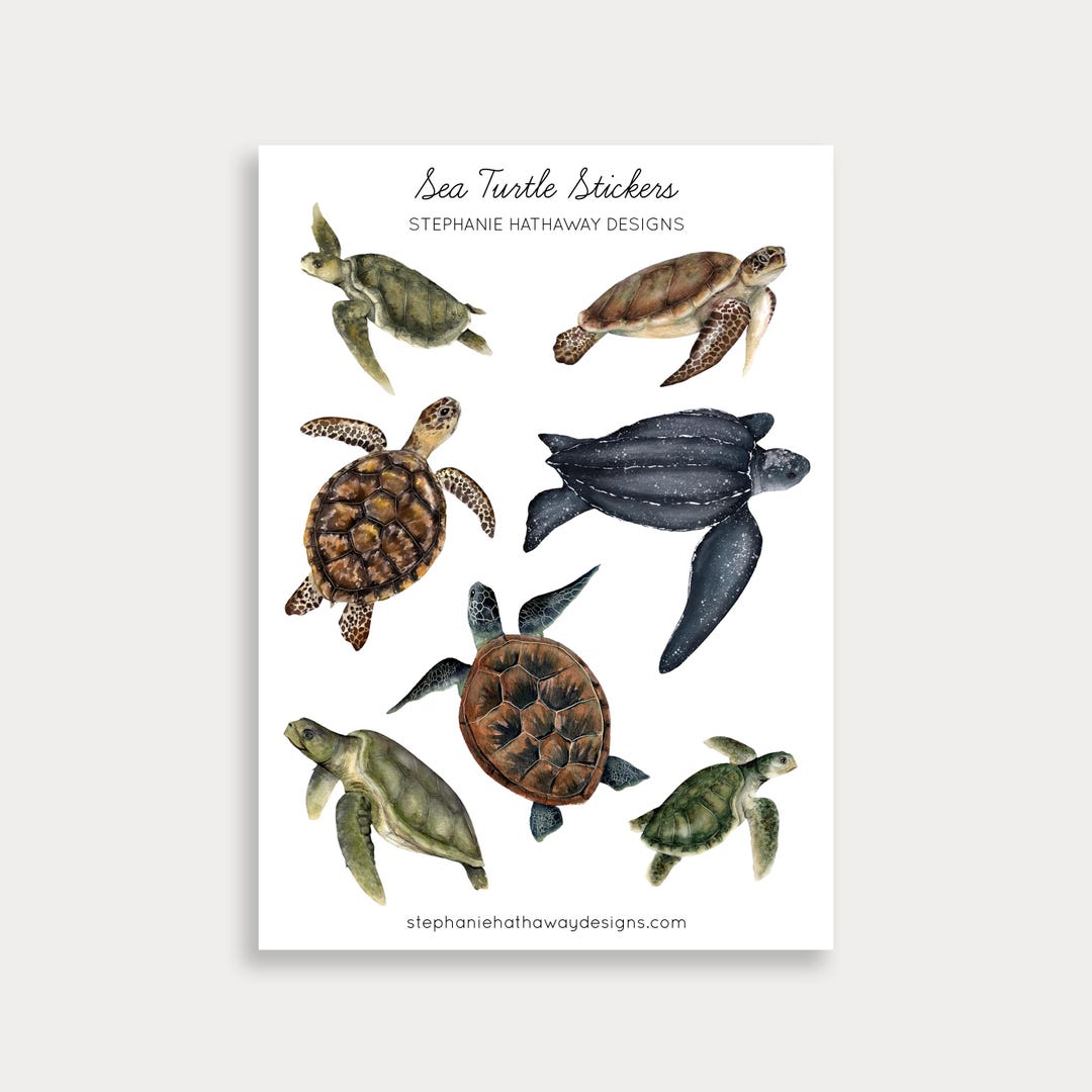 Sea Turtle Sticker Sheet - Etsy