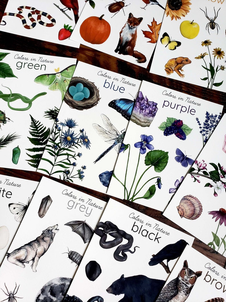 Colors in Nature Set of 11 Cards - Etsy