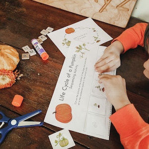Pumpkin Mini Unit Study - Etsy