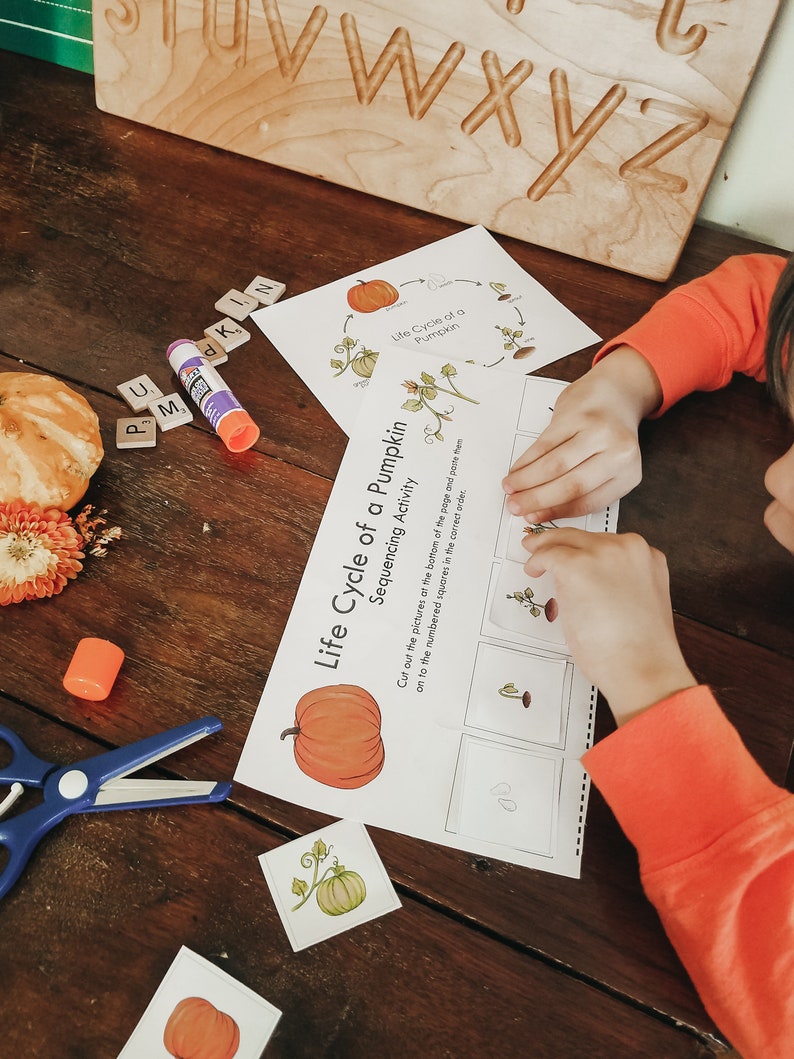 Pumpkin Mini Unit Study - Etsy