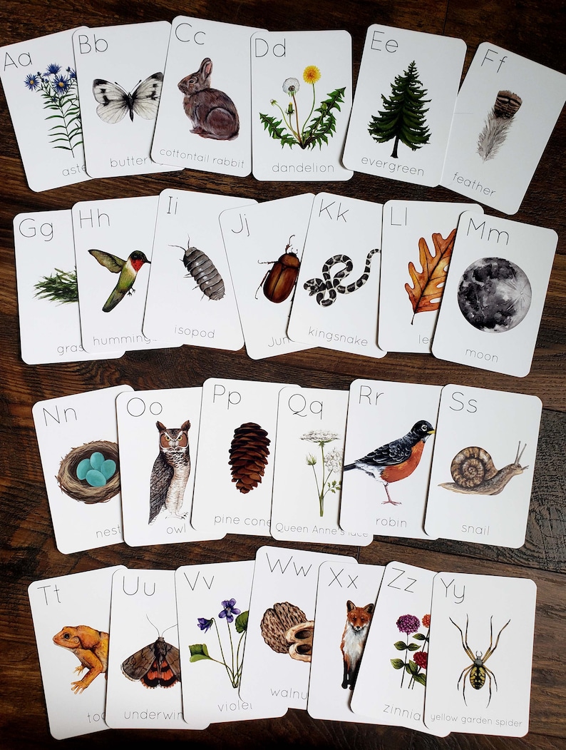Backyard Nature Alphabet Flashcards - Etsy