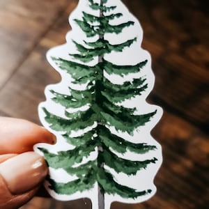 Evergreen Tree Sticker - Etsy