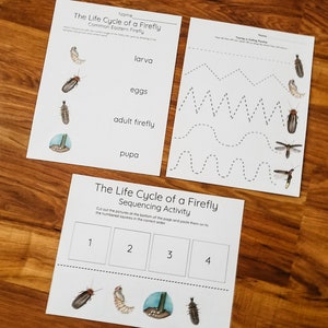 Firefly Unit Study Bundle - Etsy