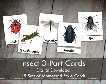 Parts of a Castle Montessori Three/four Part Cards - Etsy