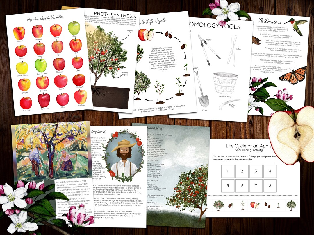 Apple Unit Study Bundle - Etsy