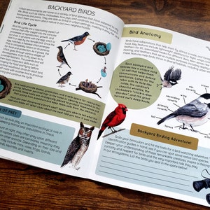 Backyard Ecology: A Printed Educational Guide Filled With Information ...
