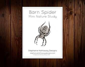 SPIDER Unit Study Life Cycle Anatomy Nature Study Science - Etsy