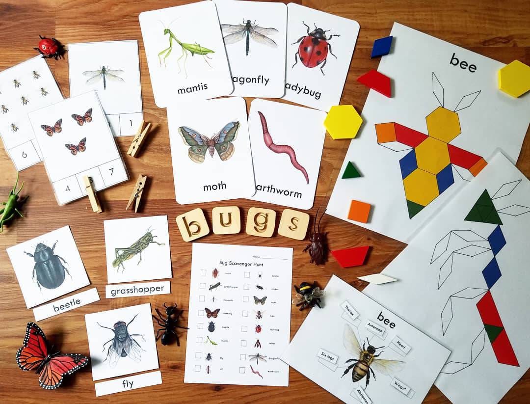 Bug Preschool/early Education Bundle - Etsy