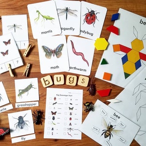 Bug Preschool/early Education Bundle - Etsy