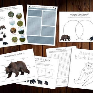 Bear Unit Study - Etsy