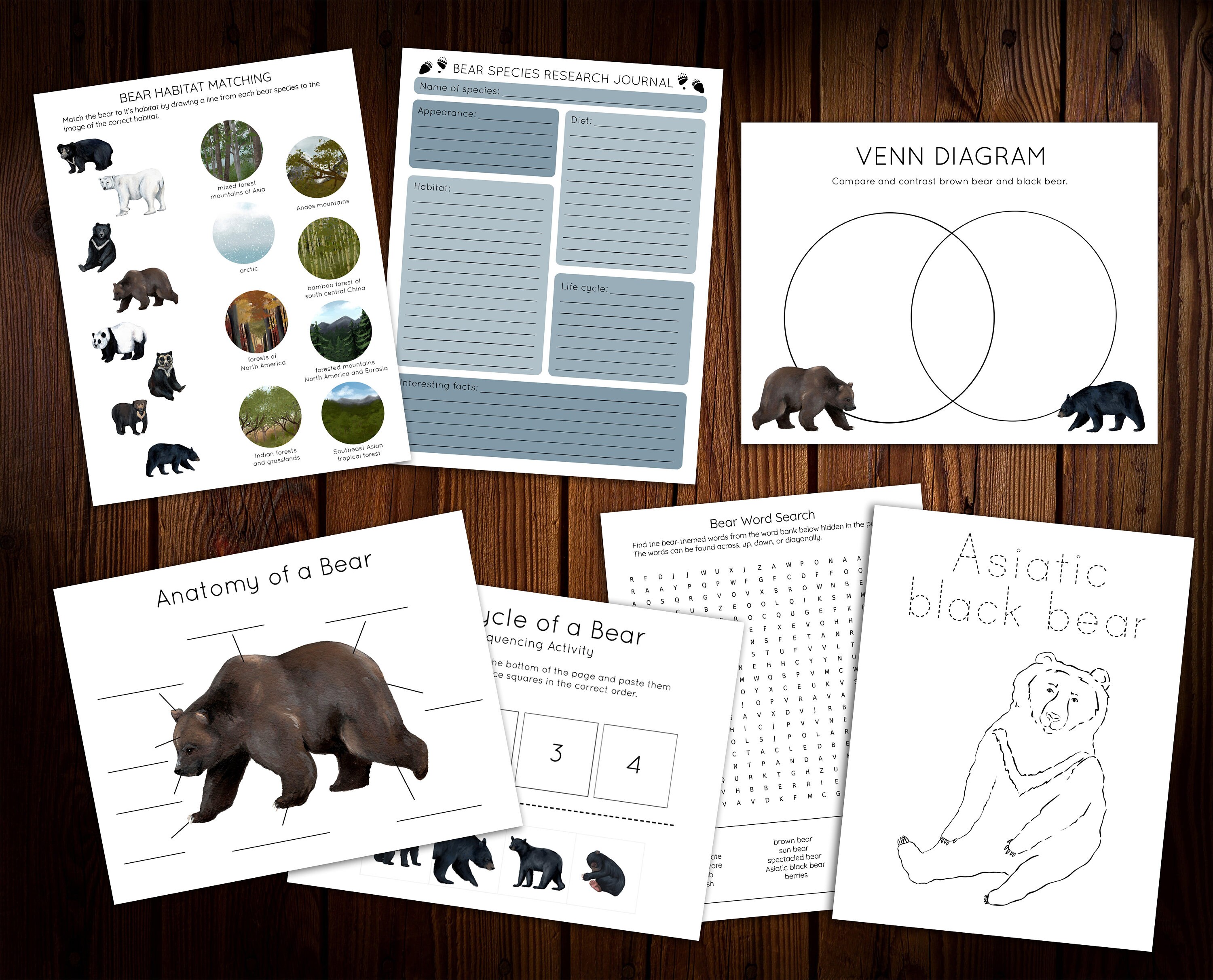 Bear Unit Study - Etsy