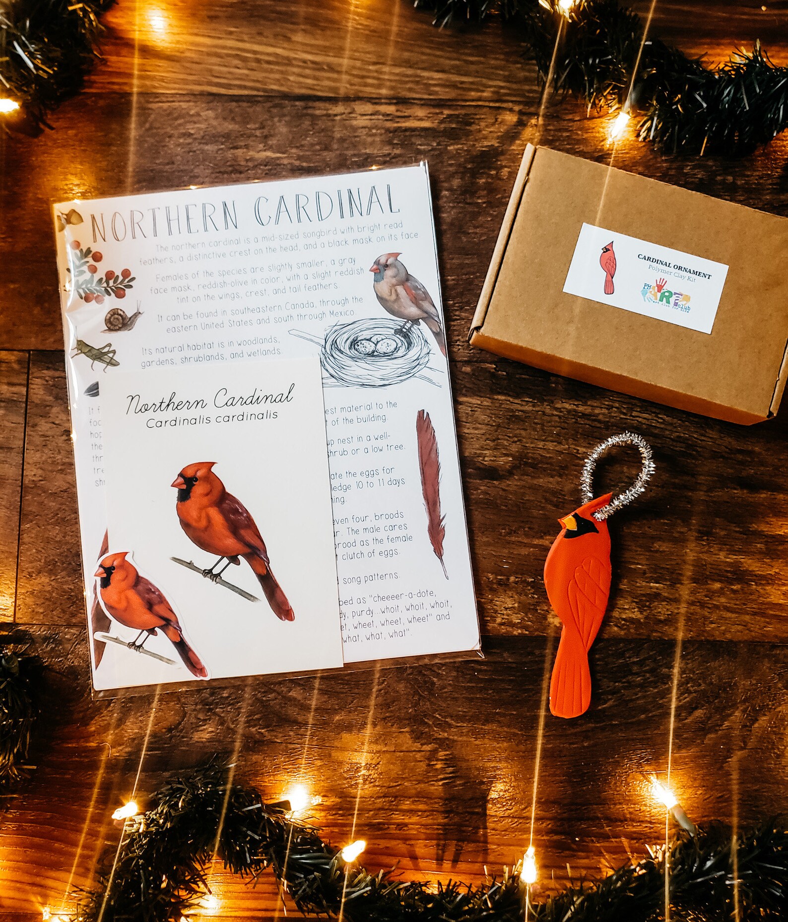 Northern Cardinal Nature Study Physical Bundle - Etsy
