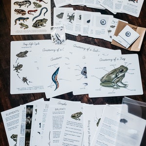 Amphibians Unit Study Physical Bundle - Etsy