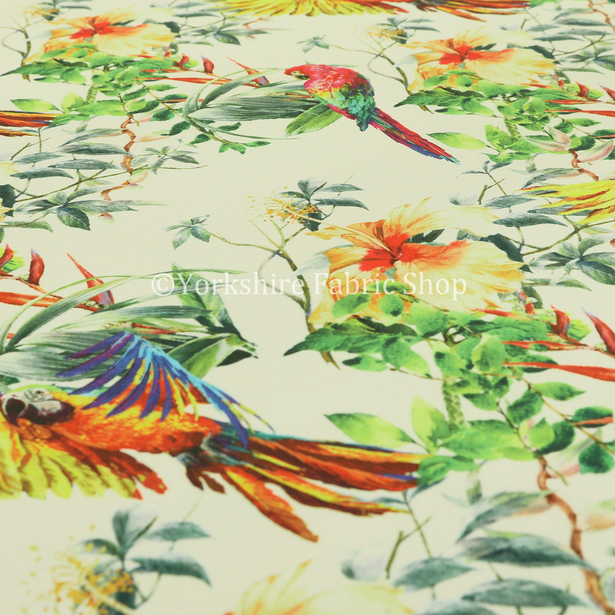 Colourful Parrot Jungle Pattern Velour Velvet Printed - Etsy UK