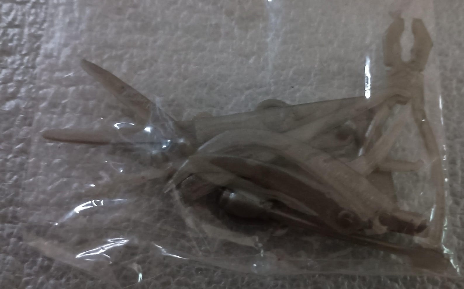 Dime Store 12 Piece Mini Plastic Tool Set 1970s NOS New Hong Kong - Etsy