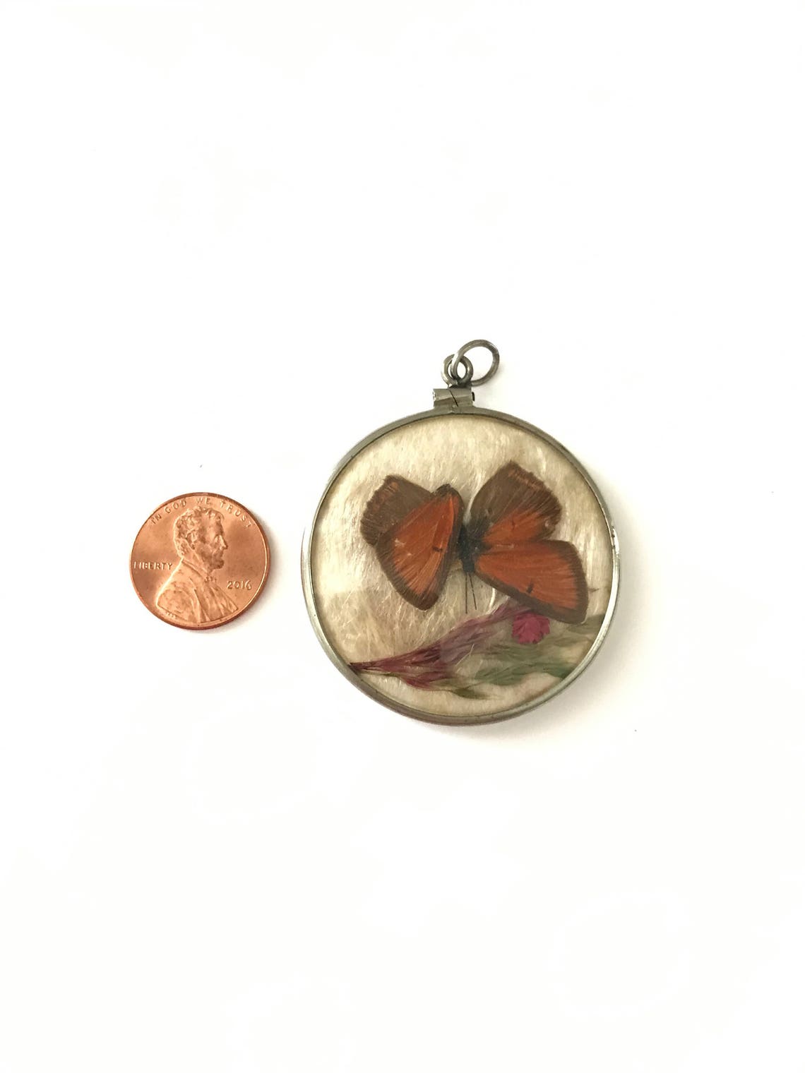 Antique Victorian Butterfly Locket | Etsy