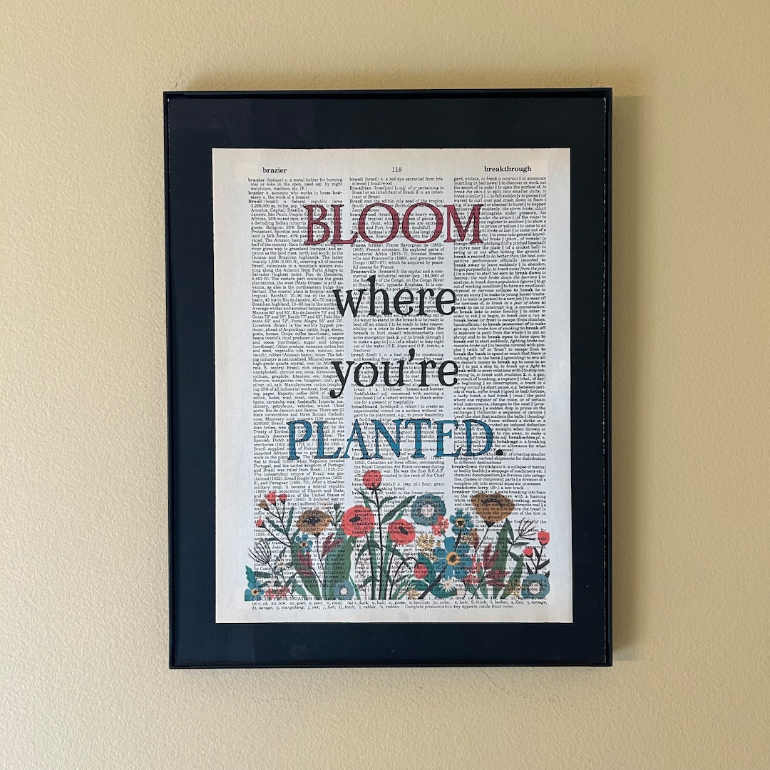 Bloom Where You're Planted; Gifts for Gardeners; Porch Decor; Classroom ...