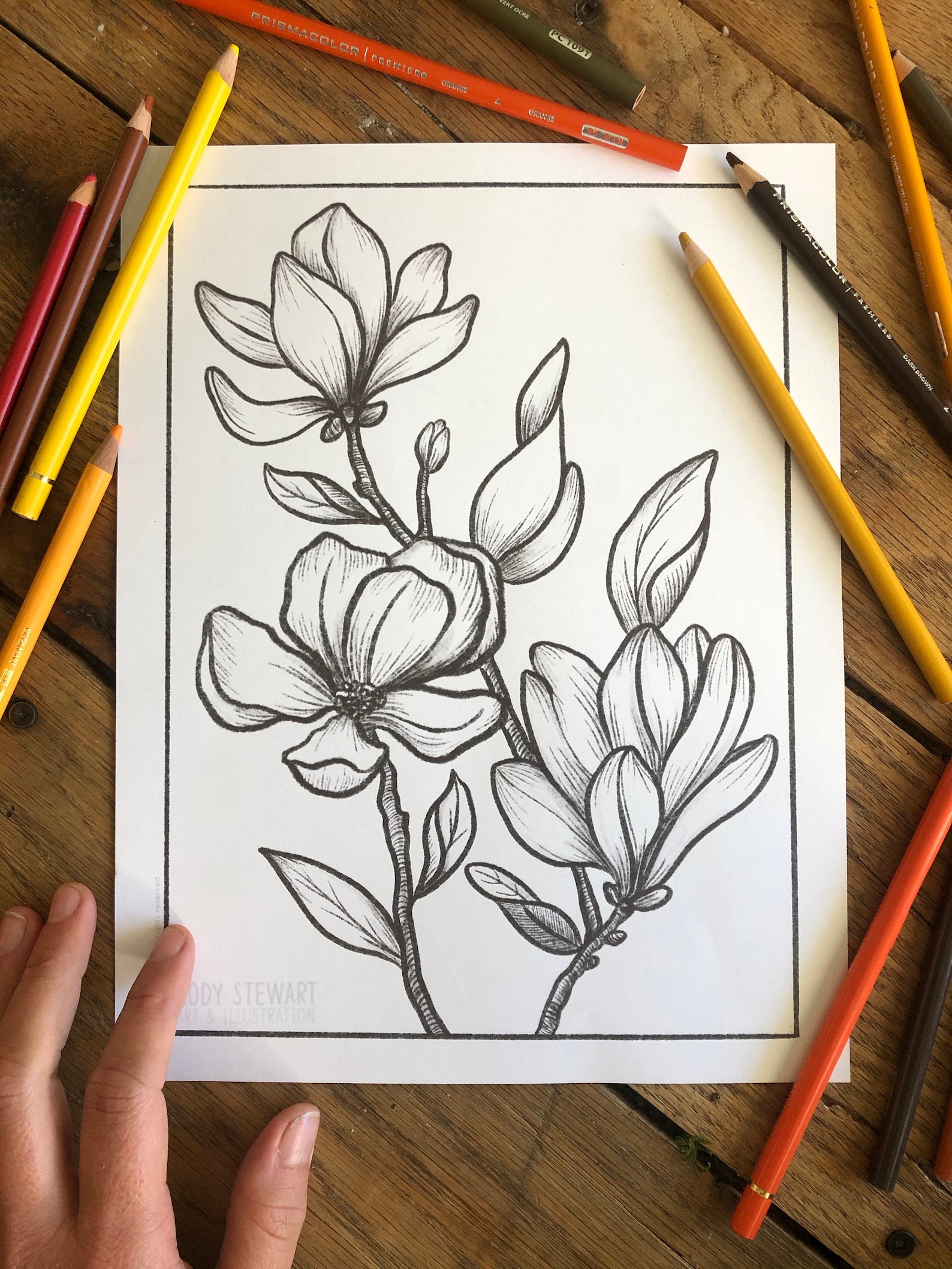 Magnolia-colouring Sheet Printable - Etsy