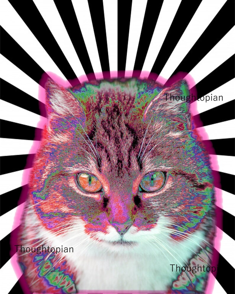 Psychedelic Cat Art Print 8 X 10 Hynpotic Cat With Rays | Etsy