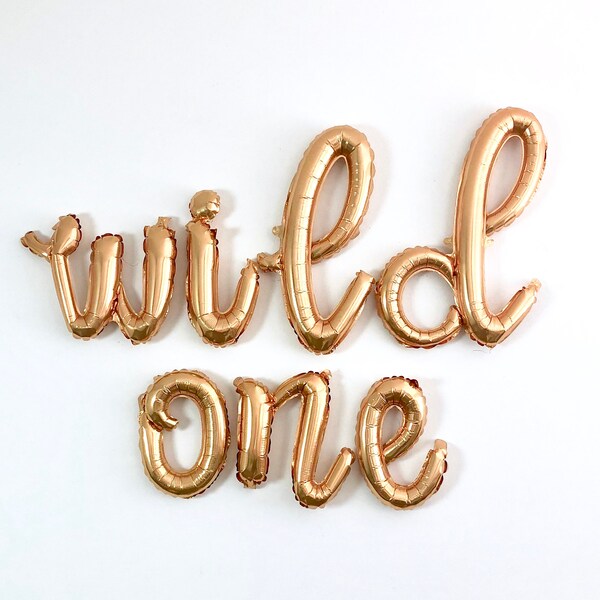 Wild One Balloon - Etsy