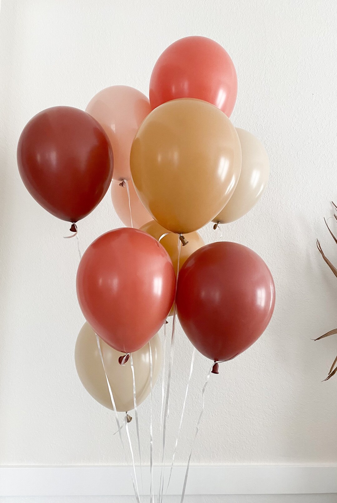 Latte Cameo Terracotta White Sand Balloons Fall Balloons Boho Party ...