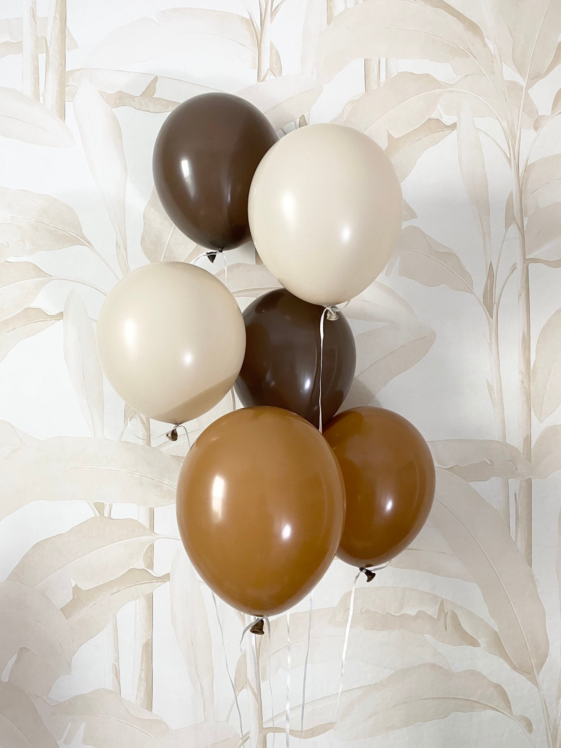 Boho Balloons: Mocha Brown, White Sand & Cocoa - 6 Pack - Etsy
