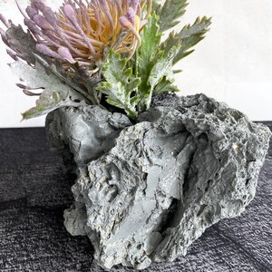 Gray Coral Rock Arrangement, Gray Concrete Coral Arrangement, Coral ...