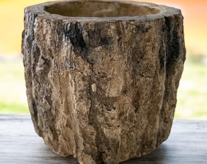 Faux Concrete Tree Bark Planter Pot - 5 Inch, Hand-stained - Etsy