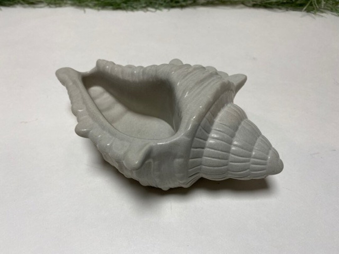 Smooth Concrete Nautical Seashell - Etsy