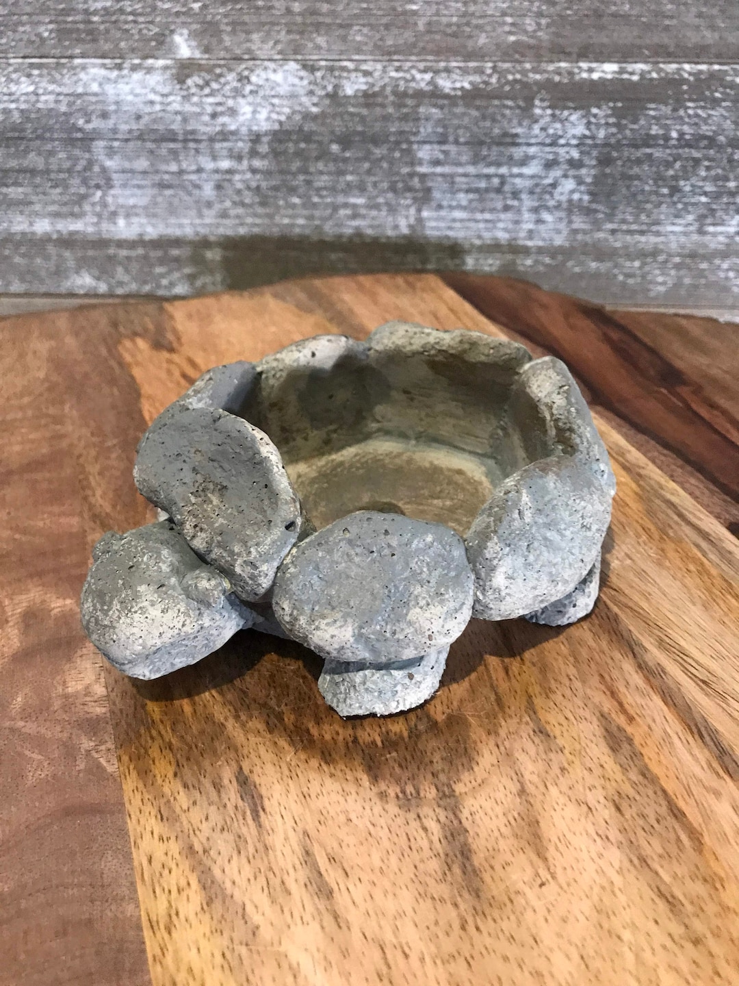 Turtle Planter, Concrete Planter, Succulent Planter, Turtle Decor ...