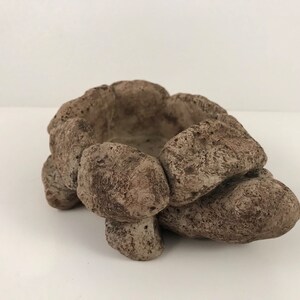 Turtle Planter, Concrete Planter, Succulent Planter, Turtle Decor ...